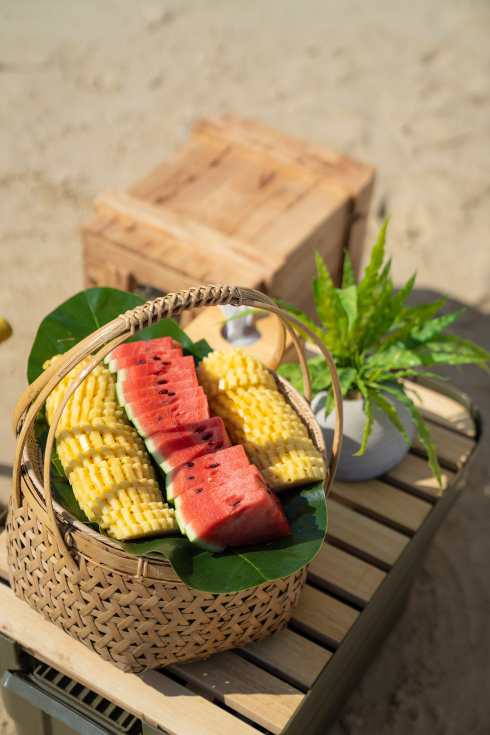 Koh Pah Exclusive - Khao Lak Wonderland Tours