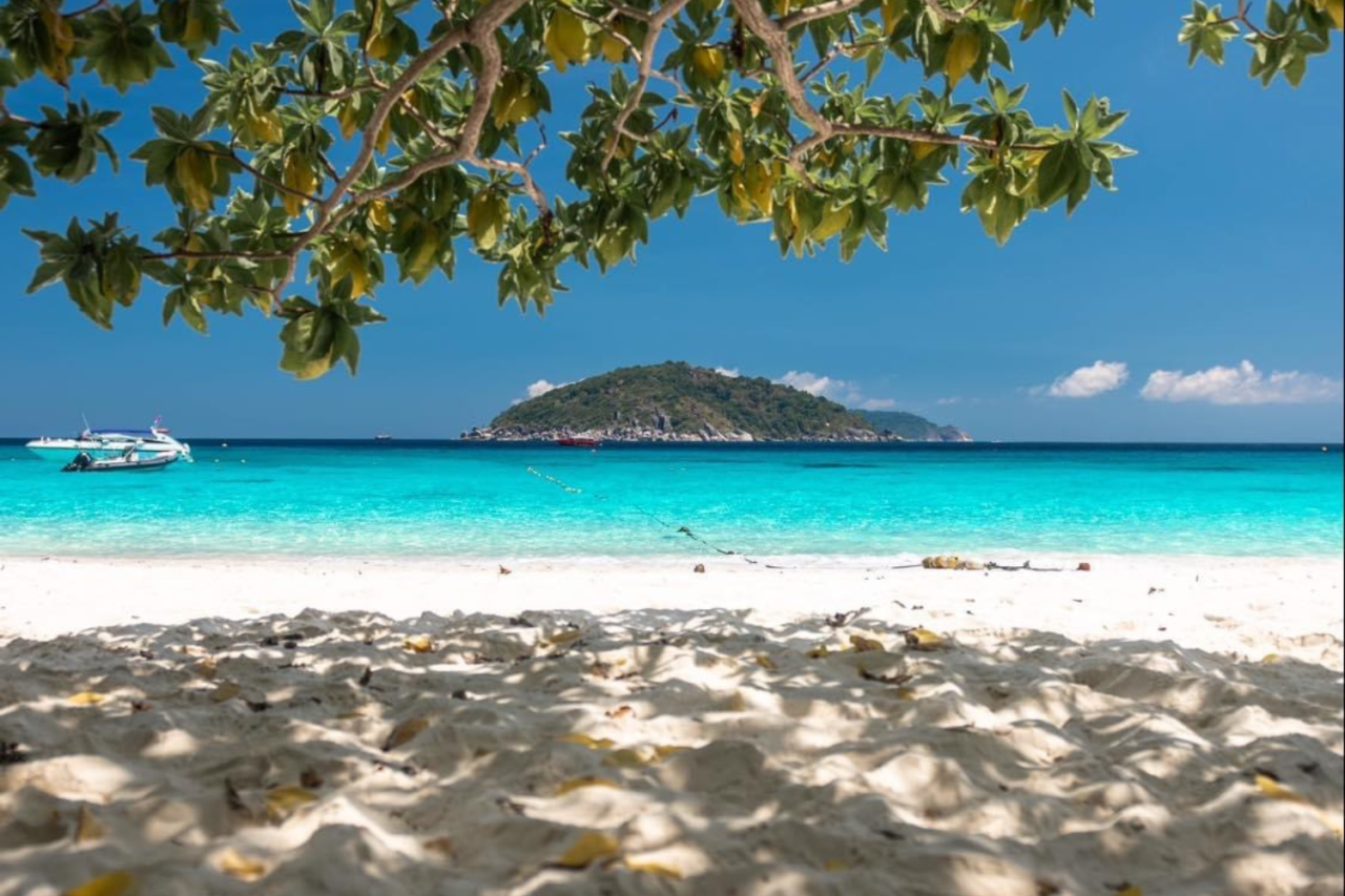 Similan Islands - Khao Lak Wonderland Tours